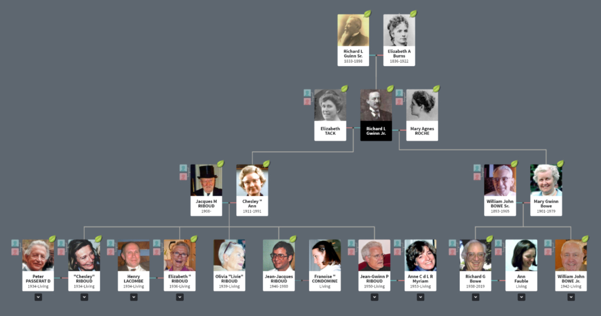 Gwinn Family Tree - William J. Bowe
