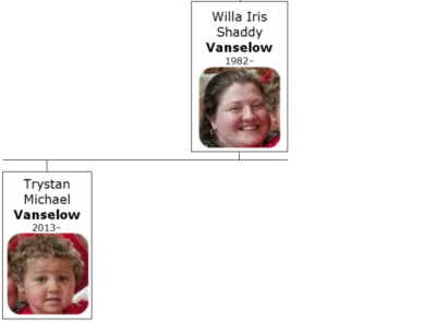 Vanselow Family Trees - William J. Bowe