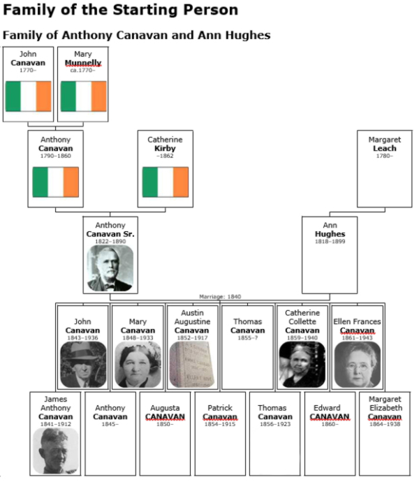 Anna Bowe and Raymond Walters Tree - William J. Bowe