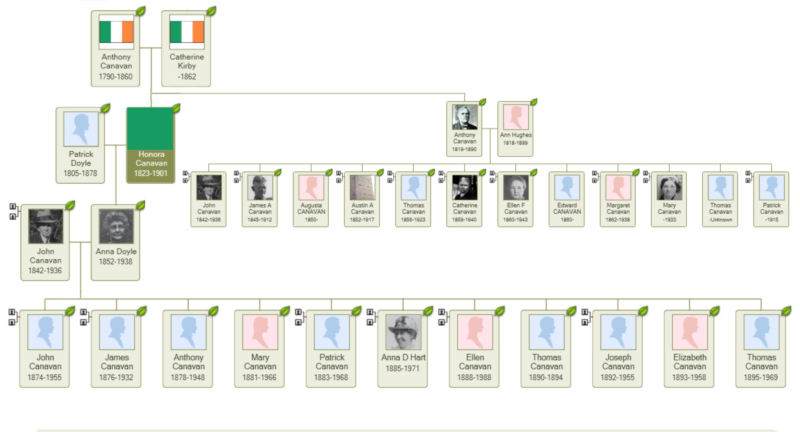 Hart Family Tree - William J. Bowe