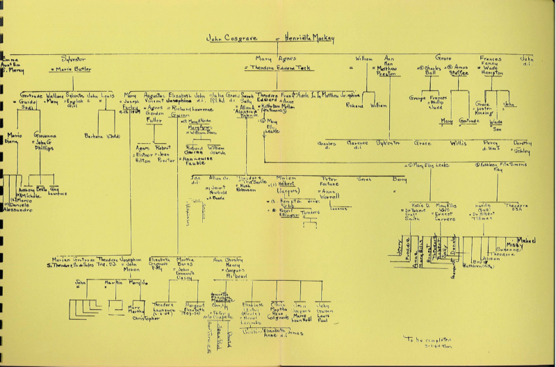 Tack Family Tree - William J. Bowe